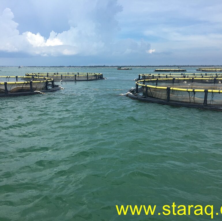 Fish Cage System – STARAQ