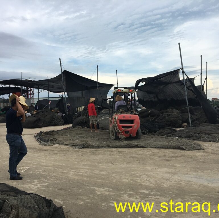 Recirculating Aquaculture System – STARAQ