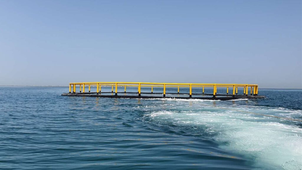 fish-cage – STARAQ