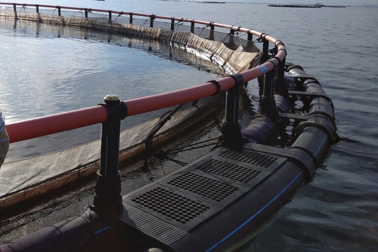 Fish Cage System - STARAQ