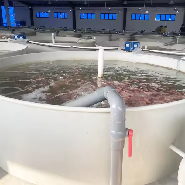 Beyond the Coastline: How Land-Based RAS is Changing the Way We Farm ...