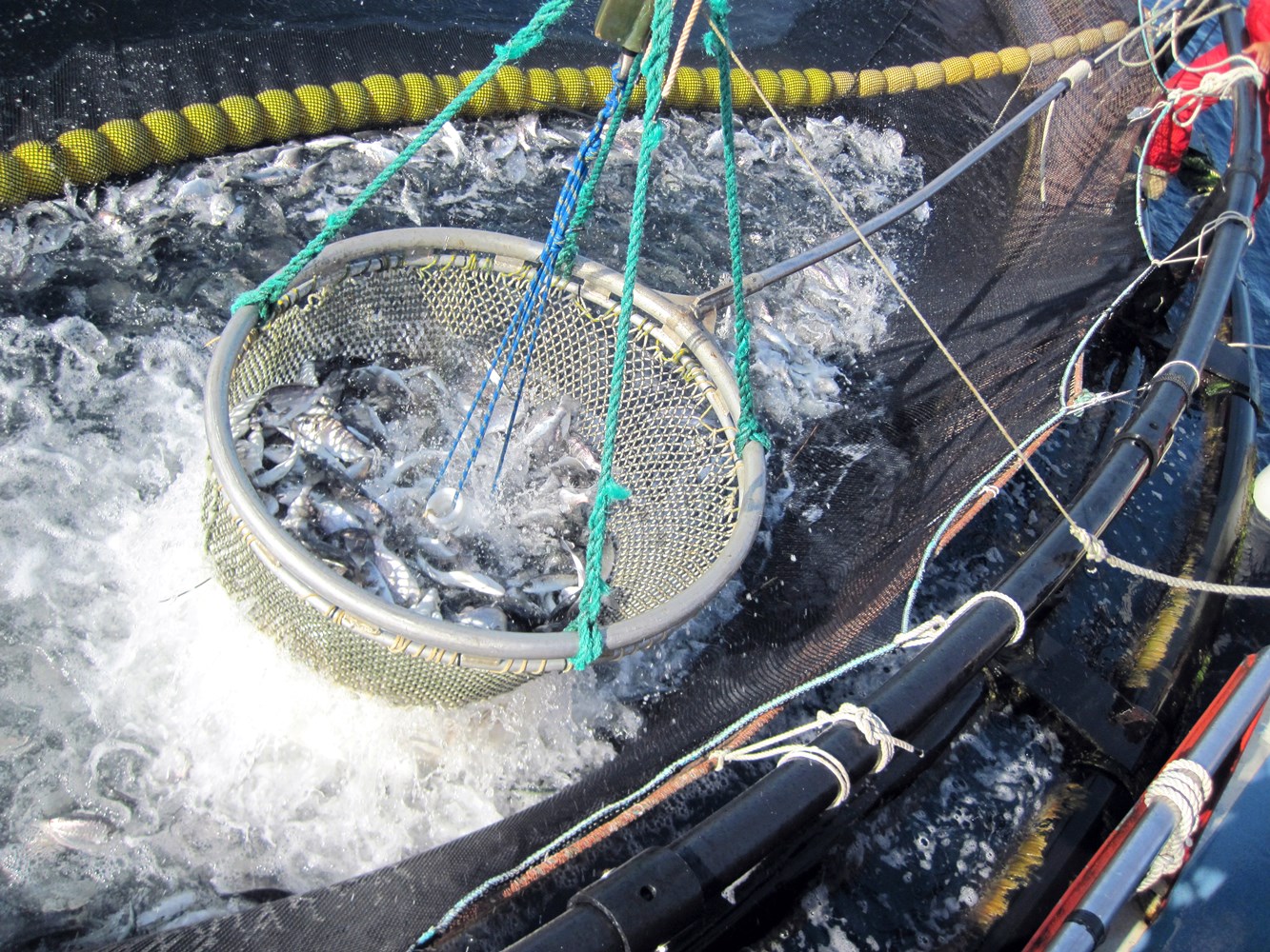 What are the requirements for the site selection of deep and distant ...