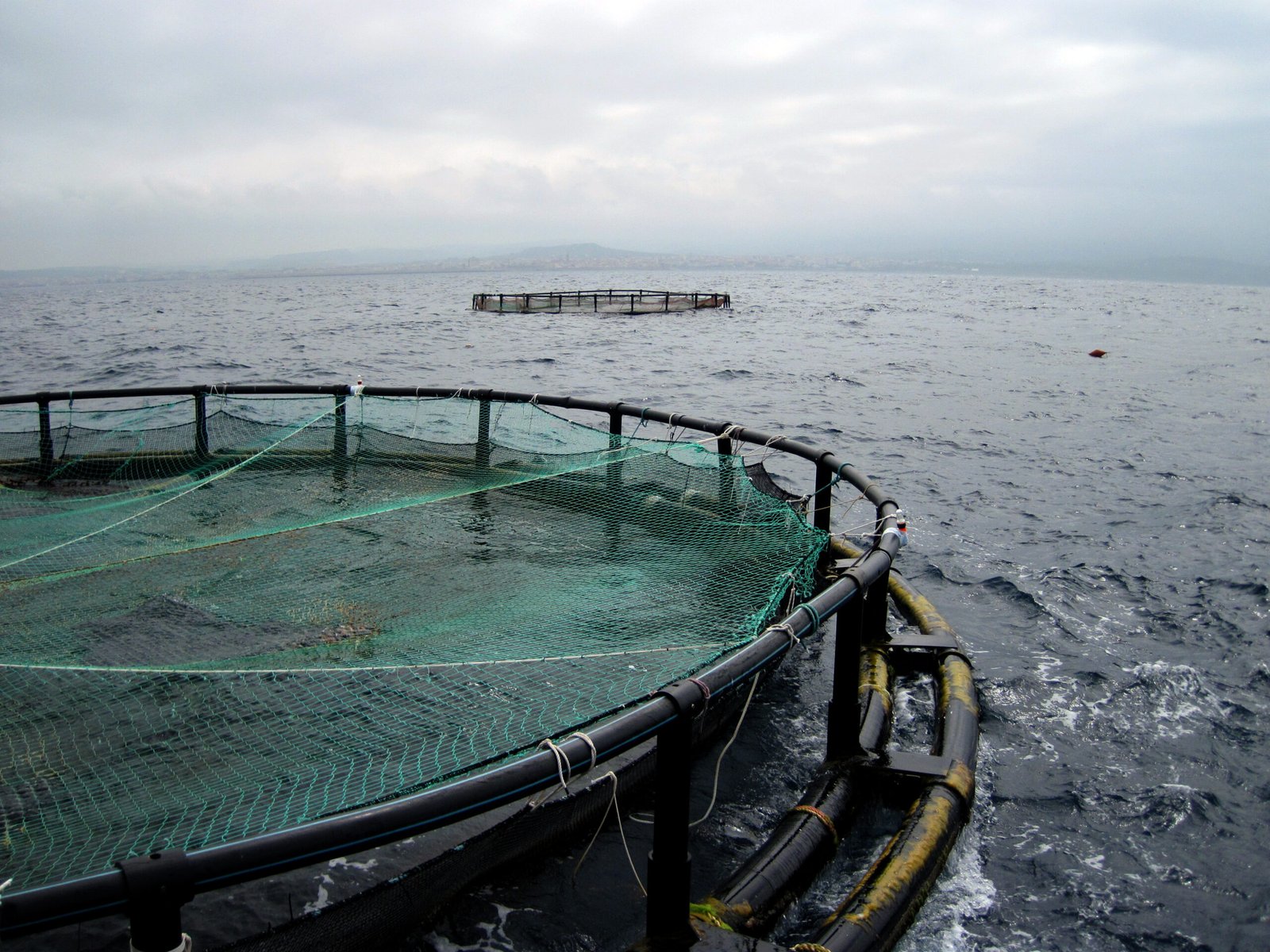 From Nearshore to Offshore:Technological Advances and Future Challenges ...