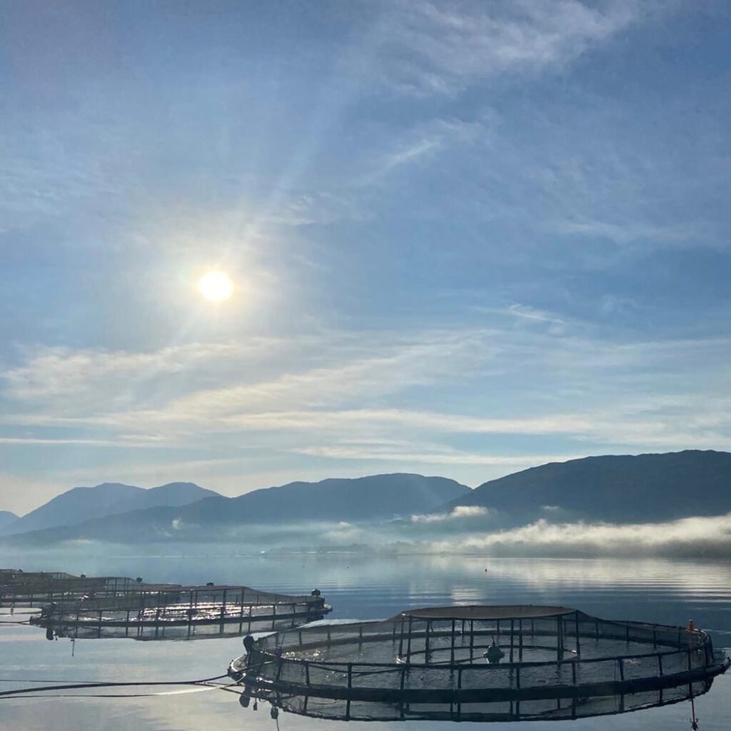 FAO’s “Blue Transformation” in Action: How Do Offshore Aquaculture ...