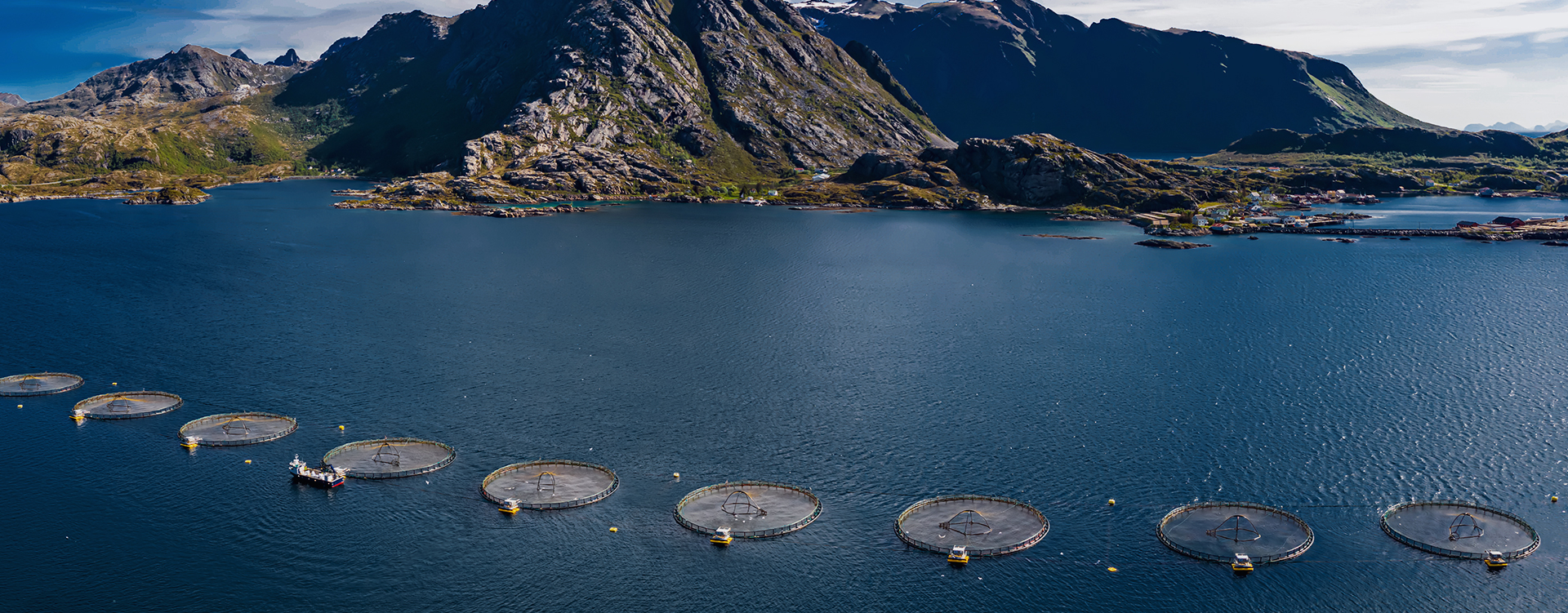 STARAQ – Building Inspiring Aquaculture